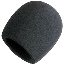 Microphones & Wireless | Performance Audio